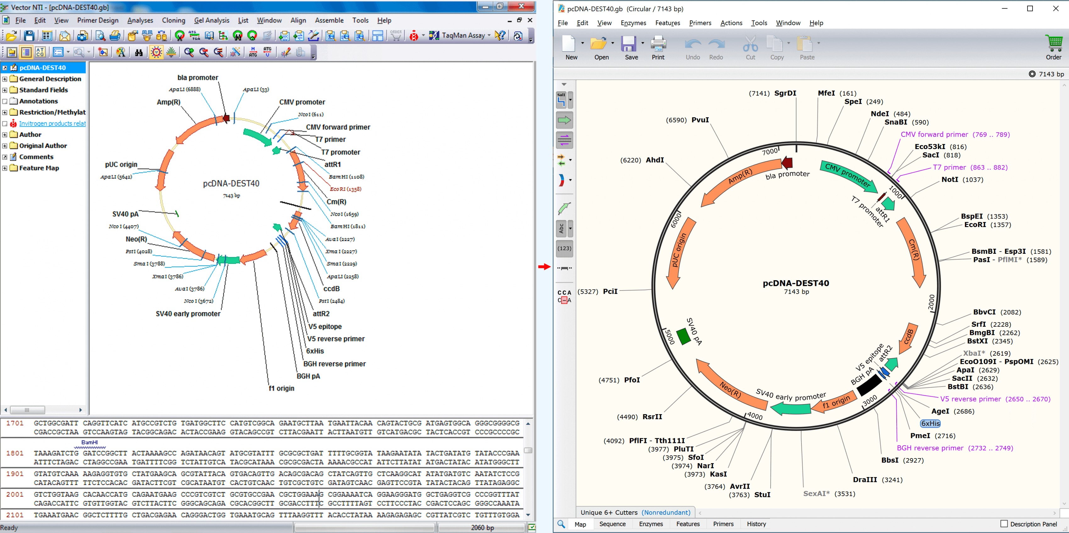 Transition from Vector NTI® - SnapGene