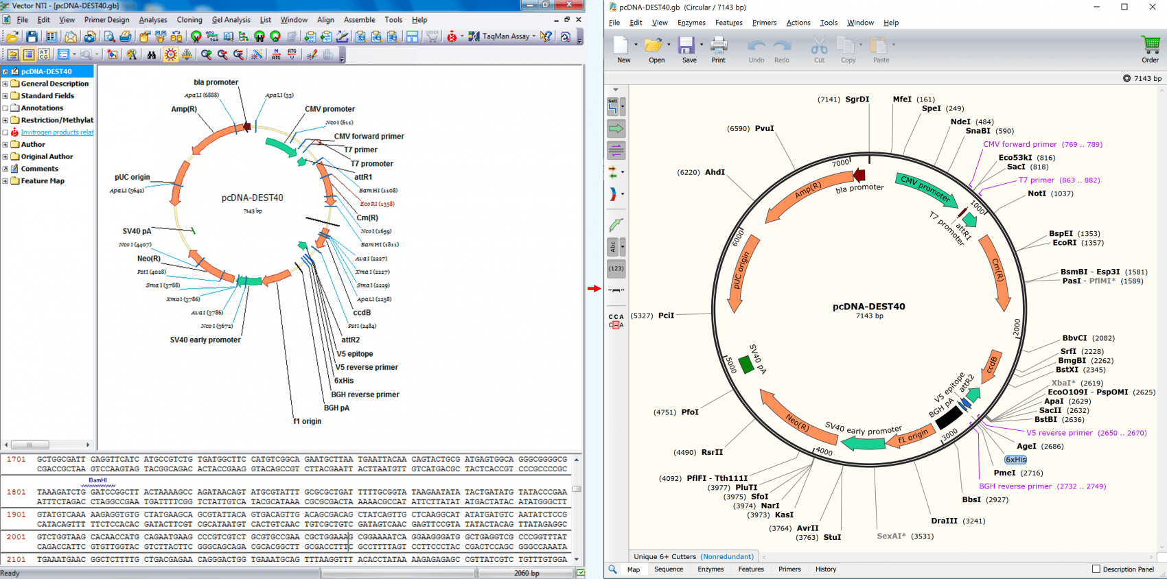Transition from Vector NTI® - SnapGene