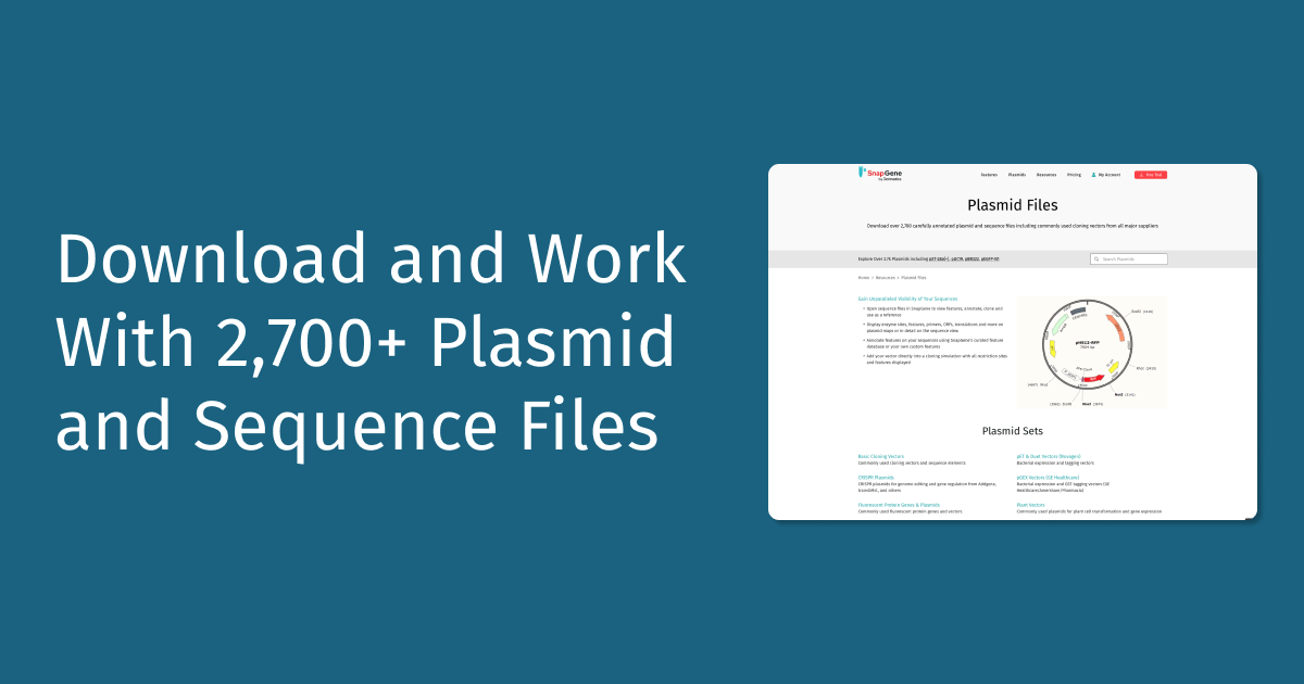 pMAL-c5X Sequence and Map