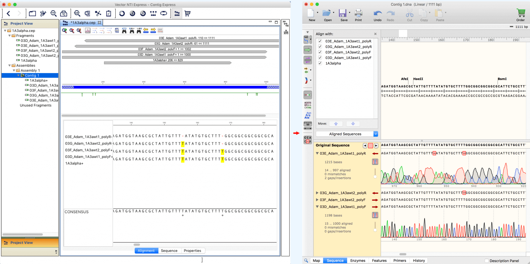 Transition from Vector NTI® - SnapGene