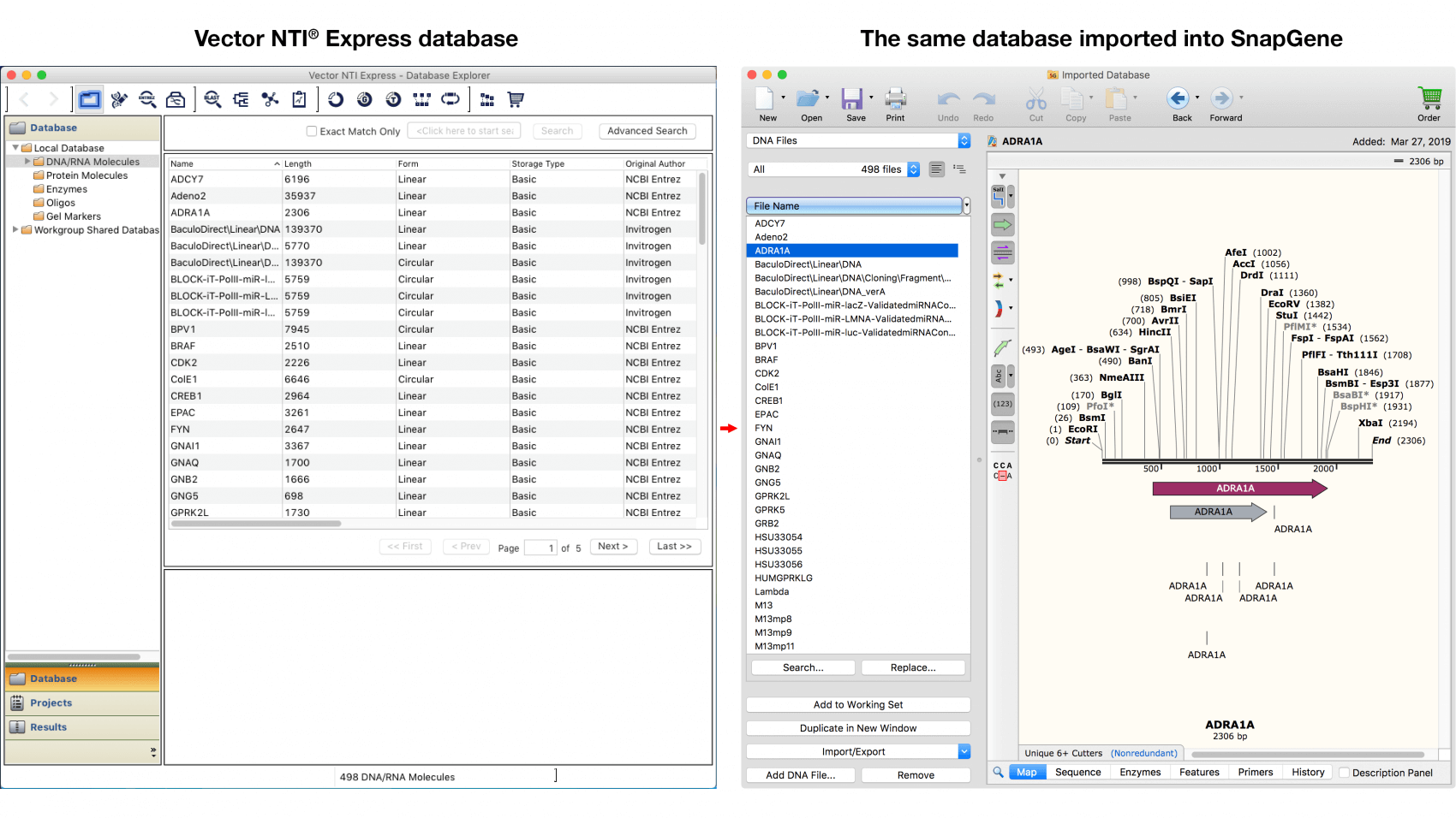 Transition from Vector NTI® - SnapGene