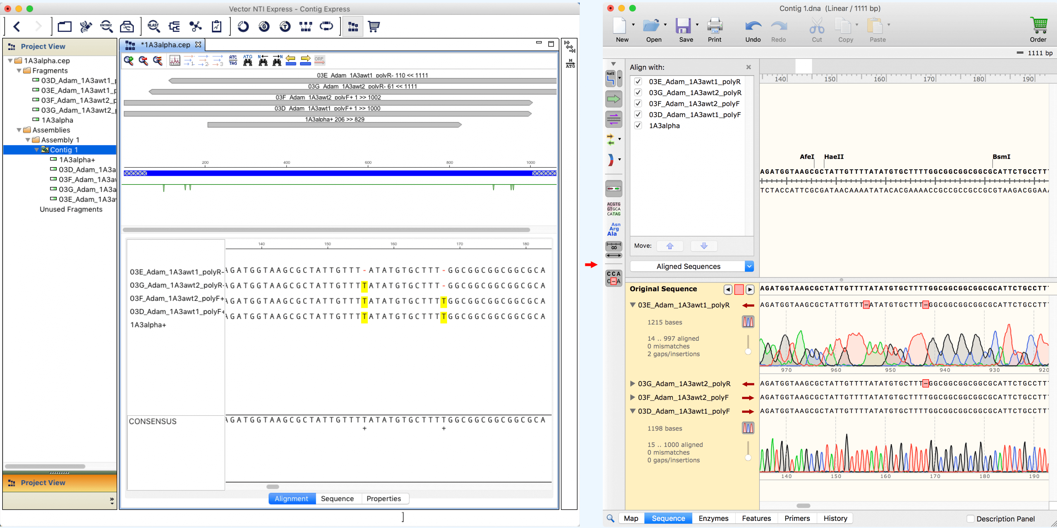 Transition from Vector NTI® - SnapGene