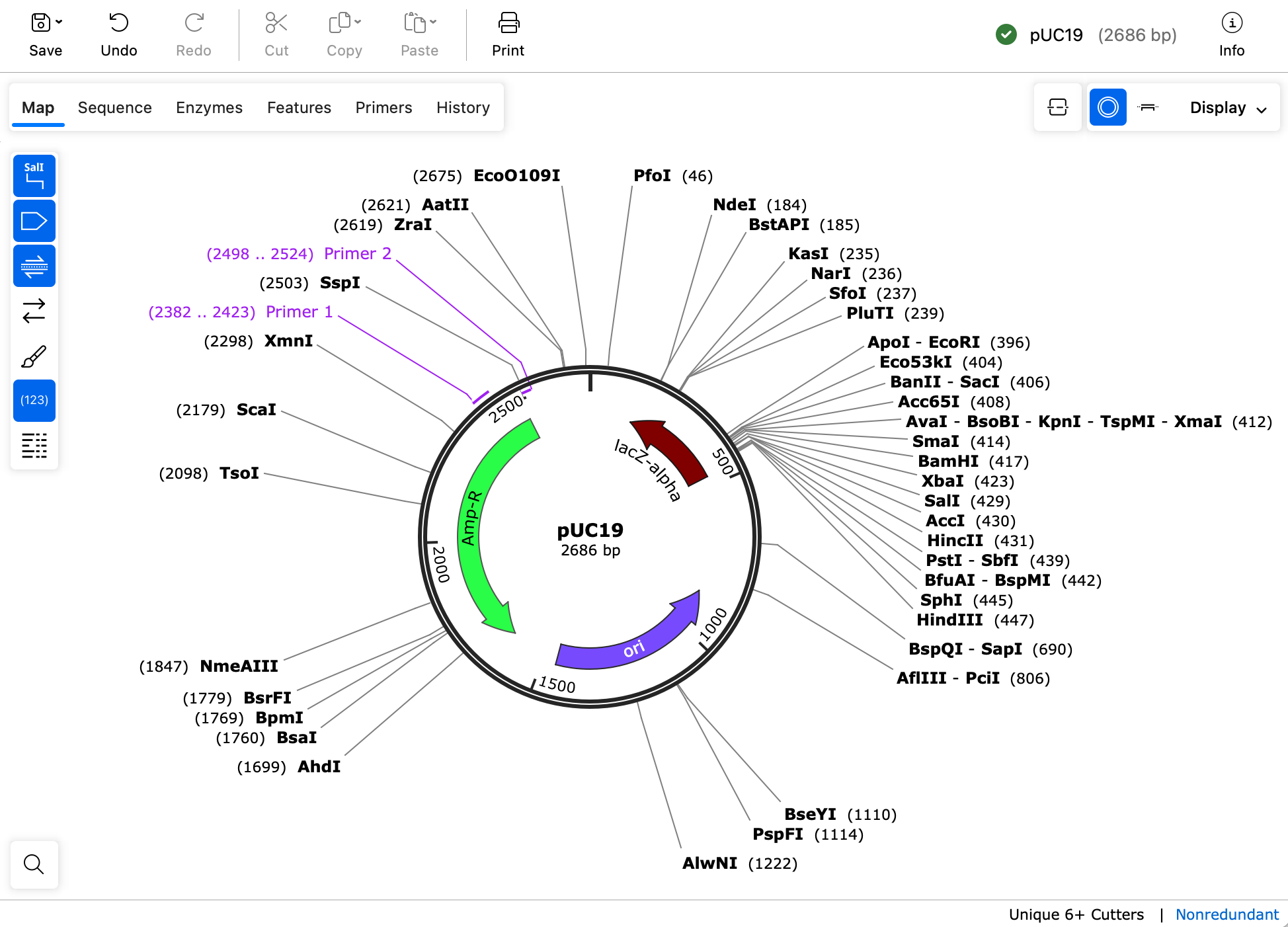 SnapGene | Software for everyday molecular biology