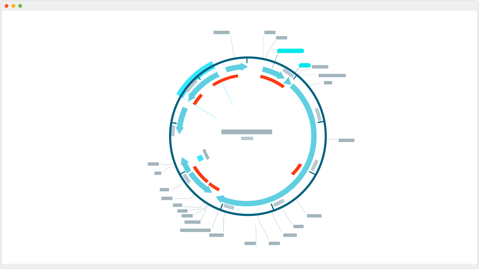 SnapGene | Software for everyday molecular biology