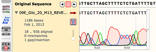 Release Notes - SnapGene